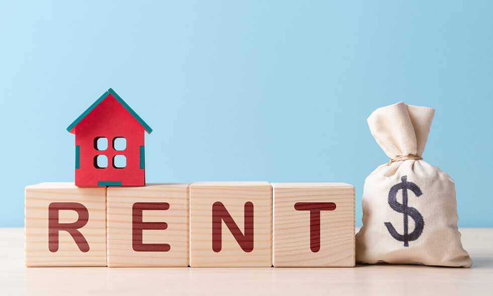 Beyond the Stock Market Rollercoaster: Building Wealth with Rental ...